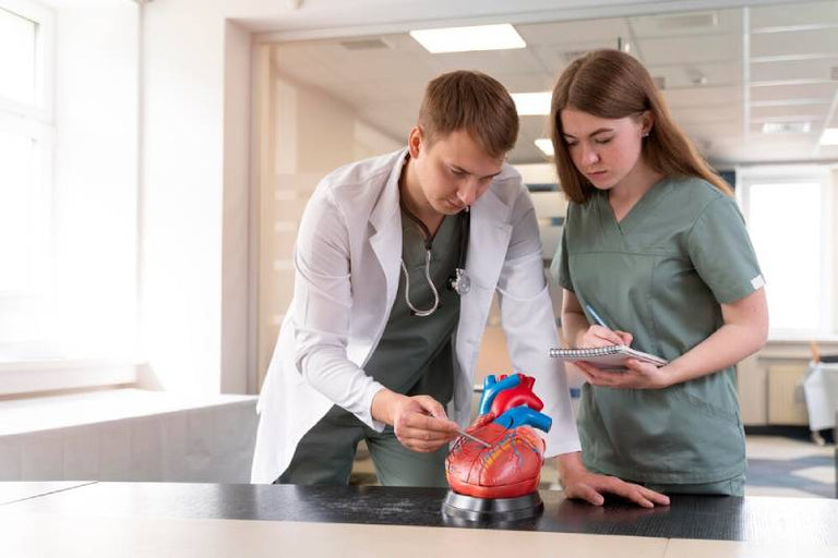 Vital Role of Medical Illustration in Cardiology – Maa Illustrations