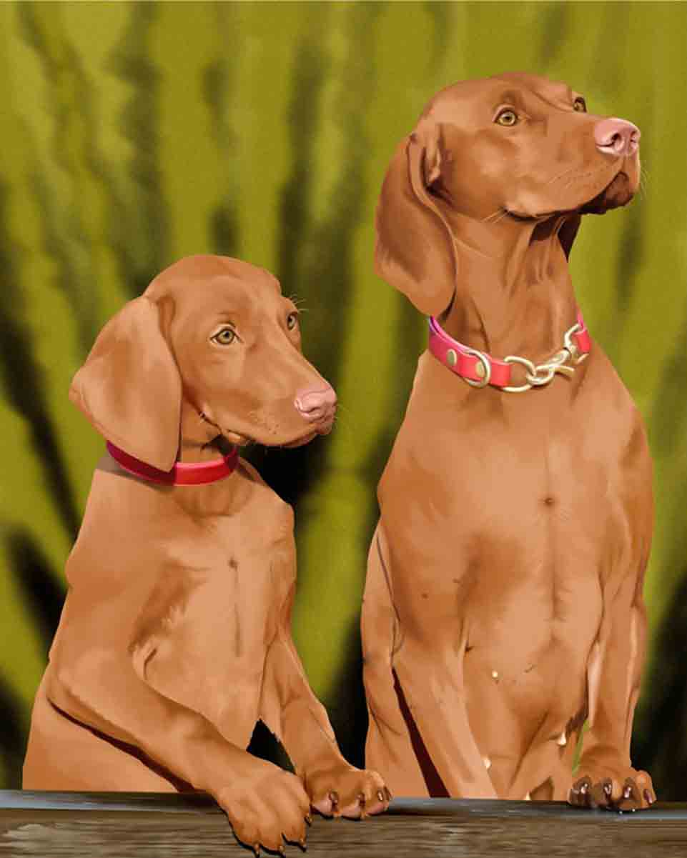 Realistic Digital Illustration Portfolio – Maa Illustrations